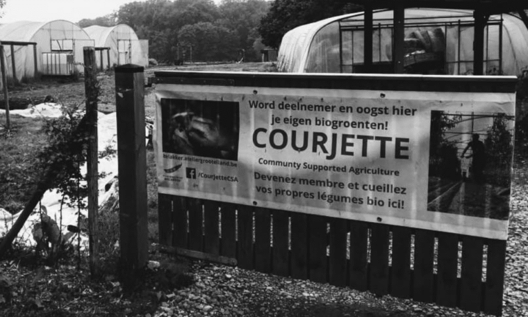Op bezoek bij CourJette: de zelfplukboerderij in het Laarbeekbos - KETTER